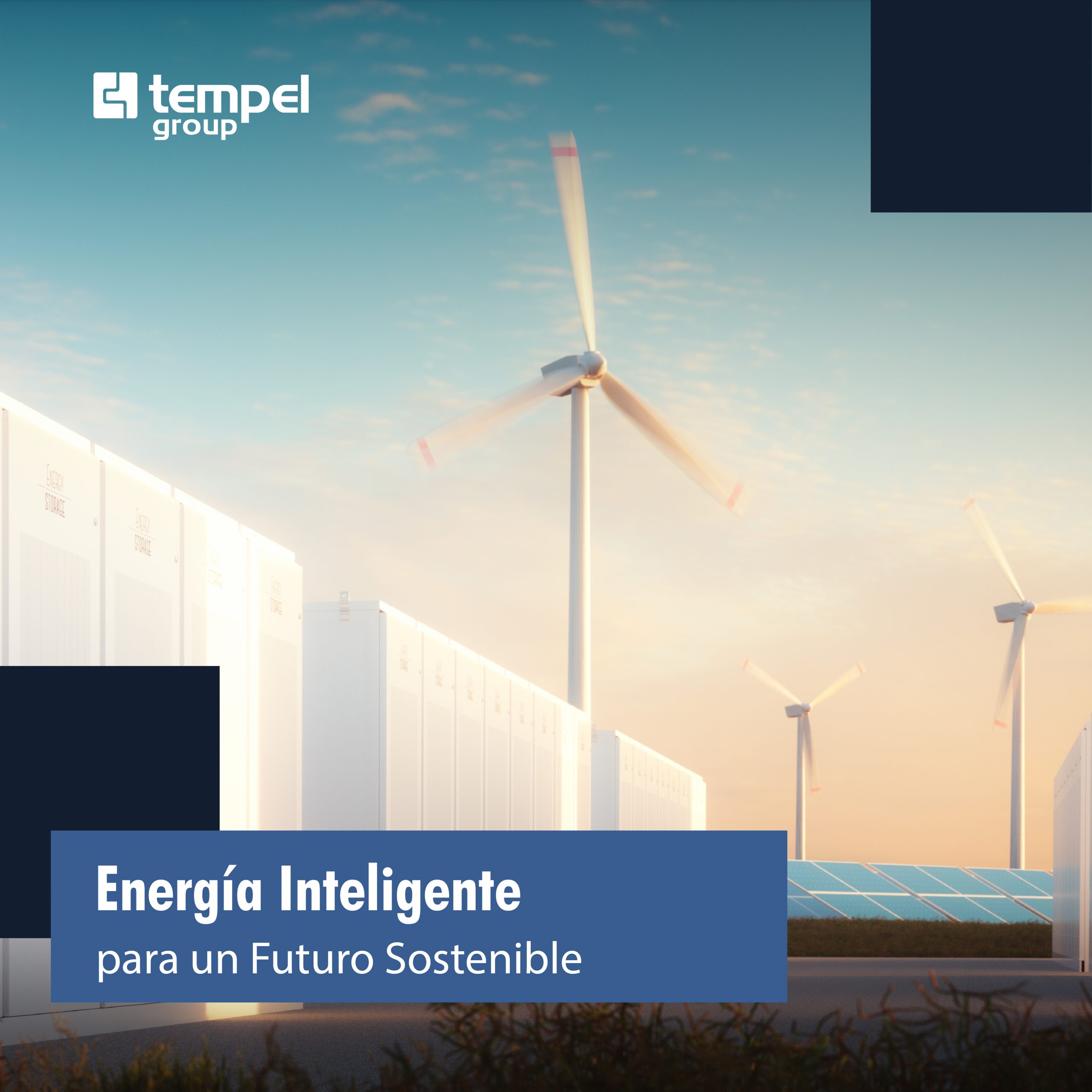 Eficiencia Energética y Sostenibilidad: Soluciones de Almacenamiento - Tempel Group